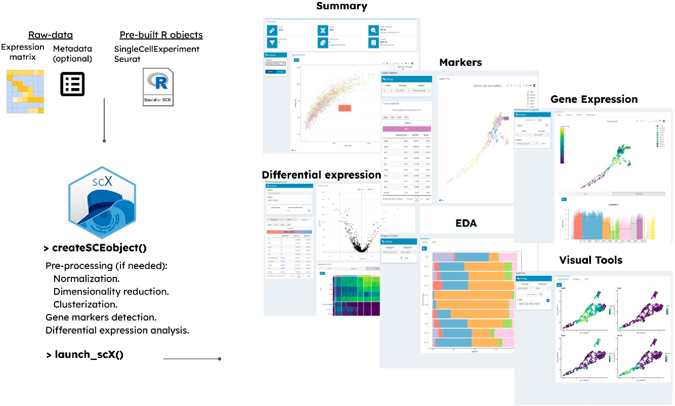 这所院校又添新作： scX:用于 scRNAseq 探索的用户友好工具-论论